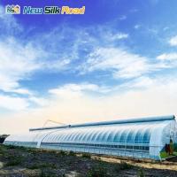 China Single Span Plastic Film Greenhouse 5-12m Width with Hot-Dip Galvanized Steel Frame for Vegetable Farming for sale