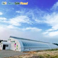 China Single Span Plastic Film Greenhouse 5-12m Width with Hot-Dip Galvanized Steel Frame for Vegetable Farming for sale