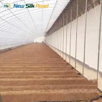 China NSR Single Span Double-Layer Plastic Film Greenhouse 5-12m Span with 20+ Year Hot-Dip Galvanized Frame for sale