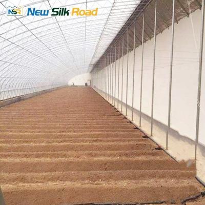 China NSR Single Span Double-Layer Plastic Film Greenhouse 5-12m Span with 20+ Year Hot-Dip Galvanized Frame for sale