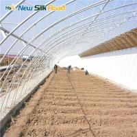 China NSR Single Span Double-Layer Plastic Film Greenhouse 5-12m Span with 20+ Year Hot-Dip Galvanized Frame for sale