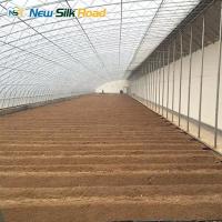 China NSR Single Span Double-Layer Plastic Film Greenhouse 5-12m Span with 20+ Year Hot-Dip Galvanized Frame for sale