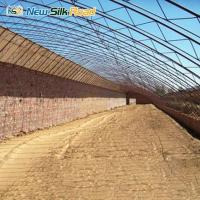 China NSR Single Span Double-Layer Plastic Film Greenhouse 5-12m Span with 20+ Year Hot-Dip Galvanized Frame for sale