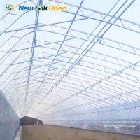 China NSR Single Span Double-Layer Plastic Film Greenhouse 5-12m Span with 20+ Year Hot-Dip Galvanized Frame for sale