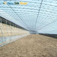 China NSR Single Span Double-Layer Plastic Film Greenhouse 5-12m Span with 20+ Year Hot-Dip Galvanized Frame for sale