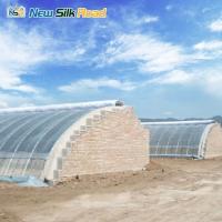 China NSR Single Span Plastic Film Greenhouse 5-12m Width with Hot-Dip Galvanized Steel Frame and 20-Year Lifespan for sale