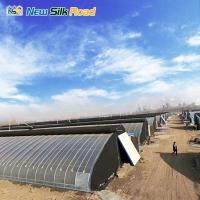 China NSR Single Span Plastic Film Greenhouse 5-12m Span with 20 Year Hot-Dip Galvanized Steel Frame for sale
