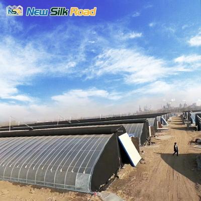 China NSR Single Span Plastic Film Greenhouse 5-12m Span with 20 Year Hot-Dip Galvanized Steel Frame for sale