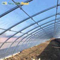 China NSR Single Span Plastic Film Greenhouse 5-12m Span with 20 Year Hot-Dip Galvanized Steel Frame for sale