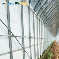 China NSR Single Span Plastic Film Greenhouse 5-12m Span with 20 Year Hot-Dip Galvanized Steel Frame for sale