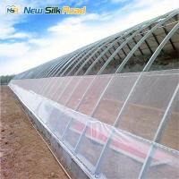 China NSR Single Span Plastic Film Greenhouse 8m-12m Span with Hot-Dip Galvanized Steel Frame and Ventilation Systems for sale