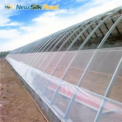 China NSR Single Span Plastic Film Greenhouse 8m-12m Span with Hot-Dip Galvanized Steel Frame and Ventilation Systems for sale