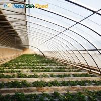 China NSR Single Span Plastic Film Greenhouse 8m-12m Span with Hot-Dip Galvanized Steel Frame and Ventilation Systems for sale