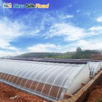 China NSR Single Span Plastic Film Greenhouse 8m-12m Span with Hot-Dip Galvanized Steel Frame and Ventilation Systems for sale