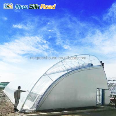 China Single-Span Agricultural Greenhouse 5-12m Span with Hot-Dip Galvanized Steel Frame and 20-Year Lifespan for sale
