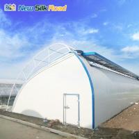 China Single-Span Agricultural Greenhouse 5-12m Span with Hot-Dip Galvanized Steel Frame and 20-Year Lifespan for sale