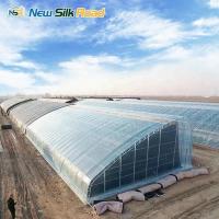 China Single-Span Agricultural Greenhouse 5-12m Span with Hot-Dip Galvanized Steel Frame and 20-Year Lifespan for sale