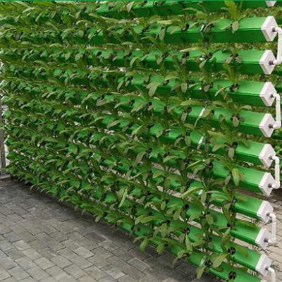 China 5.8m Section Hydroponic NFT System with 18x16cm U-Type Trough for Greenhouse Vegetable and Fruit Cultivation for sale