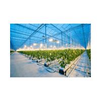 China 5.8m Section Hydroponic NFT System with 18x16cm U-Type Trough for Greenhouse Vegetable and Fruit Cultivation for sale