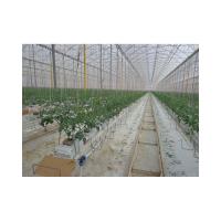 China U-Type Soilless Cultivation Trough 18×16cm for Vegetables Fruits Flowers Strawberry Farming with 2.0mm Thickness for sale