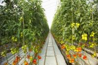China U-Type Soilless Cultivation Trough 18×16cm for Vegetables Fruits Flowers Strawberry Farming with 2.0mm Thickness for sale