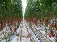 China U-Type Soilless Cultivation Trough 18×16cm for Vegetables Fruits Flowers Strawberry Farming with 2.0mm Thickness for sale