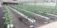 China U-Type Soilless Cultivation Trough 18×16cm for Vegetables Fruits Flowers Strawberry Farming with 2.0mm Thickness for sale