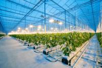 China U-Type Soilless Cultivation Trough 18×16cm for Vegetables Fruits Flowers Strawberry Farming with 2.0mm Thickness for sale