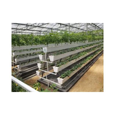 China White Food Grade Plastic Strawberry Greenhouse Gutter 2.9m 5m 5.8m Length Multi-Span Design for Water Saving Cultivation for sale