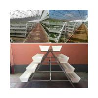 China White Food Grade Plastic Strawberry Greenhouse Gutter 2.9m 5m 5.8m Length Multi-Span Design for Water Saving Cultivation for sale
