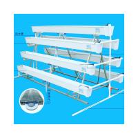 China White Food Grade Plastic Strawberry Greenhouse Gutter 2.9m 5m 5.8m Length Multi-Span Design for Water Saving Cultivation for sale