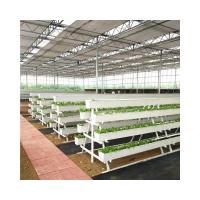 China White Food Grade Plastic Strawberry Greenhouse Gutter 2.9m 5m 5.8m Length Multi-Span Design for Water Saving Cultivation for sale