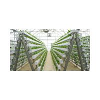 China NSR Greenhouse Food Grade PVC Hydroponic Gutter System for Strawberry Growing - 2.9m/5m/5.8m Length Options for sale