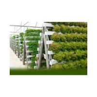 China NSR Greenhouse Food Grade PVC Hydroponic Gutter System for Strawberry Growing - 2.9m/5m/5.8m Length Options for sale