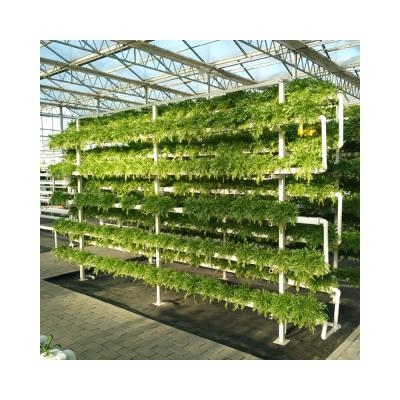 China PVC NFT Hydroponic System for Greenhouse Vegetables 2m-5.8m Length with 1.8mm/2.0mm Thickness Steel Frame for sale