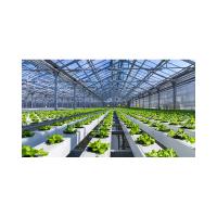 China PVC NFT Hydroponic System for Greenhouse Vegetables 2m-5.8m Length with 1.8mm/2.0mm Thickness Steel Frame for sale