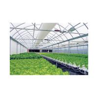 China PVC NFT Hydroponic System for Greenhouse Vegetables 2m-5.8m Length with 1.8mm/2.0mm Thickness Steel Frame for sale