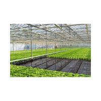 China PVC NFT Hydroponic System for Greenhouse Vegetables 2m-5.8m Length with 1.8mm/2.0mm Thickness Steel Frame for sale