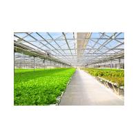 China PVC NFT Hydroponic System for Greenhouse Vegetables 2m-5.8m Length with 1.8mm/2.0mm Thickness Steel Frame for sale