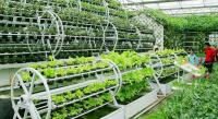 China PVC NFT Hydroponics System 2-5.8m Length with 1.8mm/2.0mm Thickness for Water-Saving Vegetable Cultivation for sale
