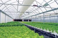 China PVC NFT Hydroponics System 2-5.8m Length with 1.8mm/2.0mm Thickness for Water-Saving Vegetable Cultivation for sale