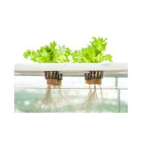 China High Density PVC Hydroponic Tower 100×60×3cm & 120×60×3cm for Soilless Agriculture Deep Water Culture for sale