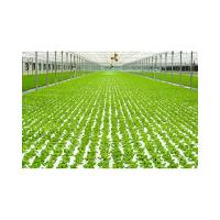 China High Density PVC Hydroponic Tower 100×60×3cm & 120×60×3cm for Soilless Agriculture Deep Water Culture for sale