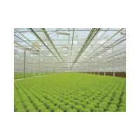 China High Density PVC Hydroponic Tower 100×60×3cm & 120×60×3cm for Soilless Agriculture Deep Water Culture for sale