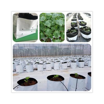 China PE Coated Rectangular Plastic Dutch Bucket 30x25x23cm for Hydroponic Tomato Growing in Greenhouses for sale