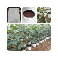 China PE Coated Rectangular Plastic Dutch Bucket 30x25x23cm for Hydroponic Tomato Growing in Greenhouses for sale