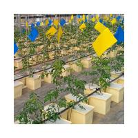 China PE Coated Rectangular Plastic Dutch Bucket 30x25x23cm for Hydroponic Tomato Growing in Greenhouses for sale