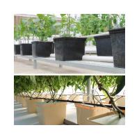 China PE Coated Rectangular Plastic Dutch Bucket 30x25x23cm for Hydroponic Tomato Growing in Greenhouses for sale