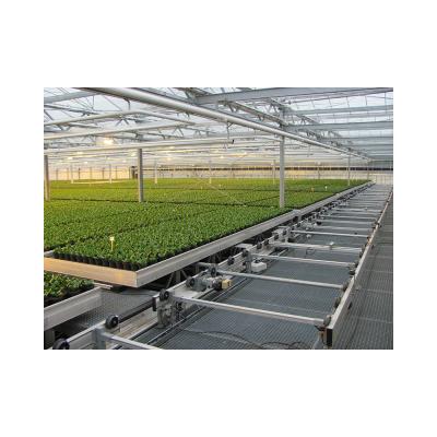 China ABS Moving Seedbed for Multi-Span Greenhouses with 50x100mm Aluminum Frame and 2.8-3.0mm Thickness for sale