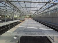 China ABS Moving Seedbed for Multi-Span Greenhouses with 50x100mm Aluminum Frame and 2.8-3.0mm Thickness for sale